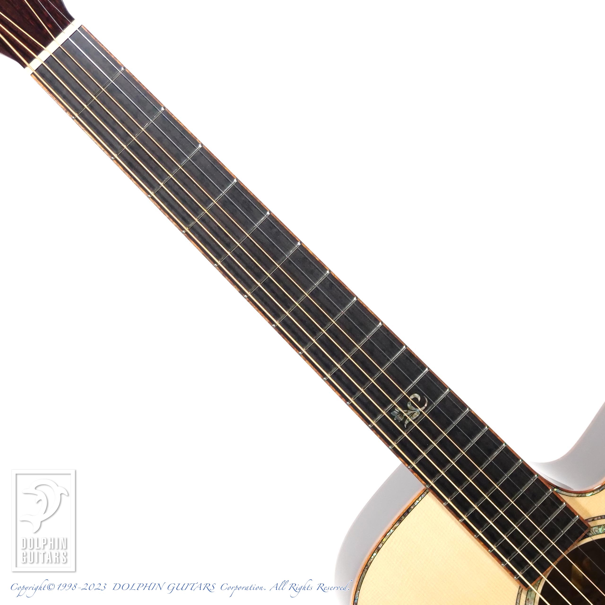 MORRIS S-131 - ドルフィンギターズ