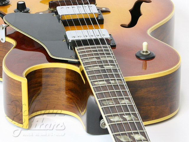 Gibson ES-175 - ドルフィンギターズ