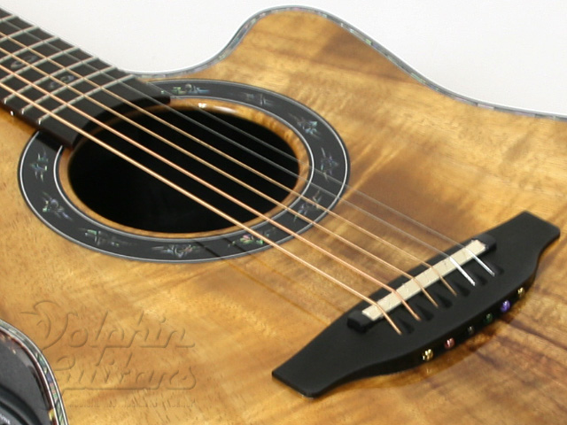 OVATION Collector 2009 FKOA - ドルフィンギターズ