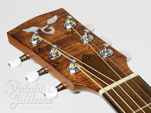 JAMES GOODALL Parlor 14F Aloha Model - ドルフィンギターズ