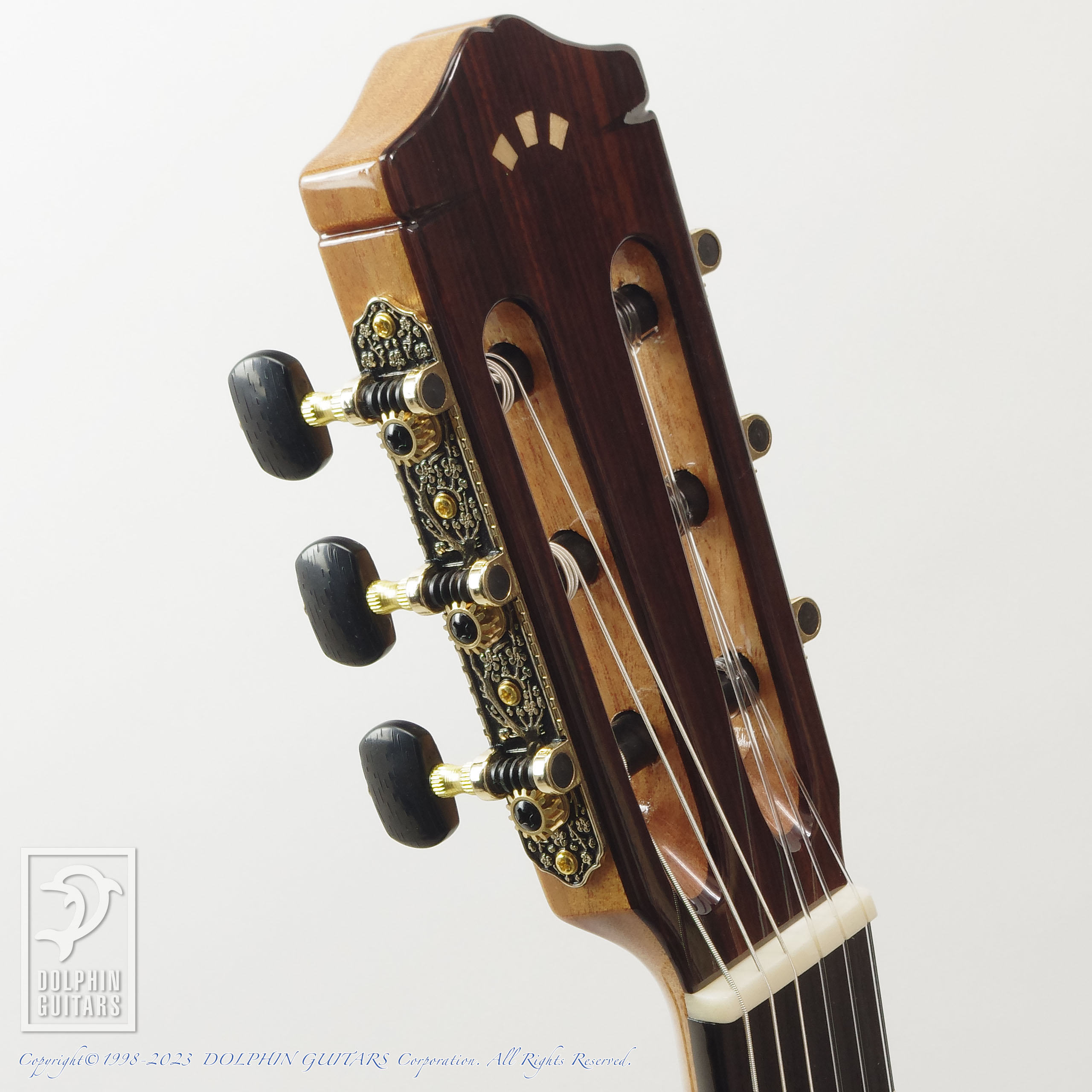 CORDOBA GK Studio Limited (Nylon Strings) - ドルフィンギターズ