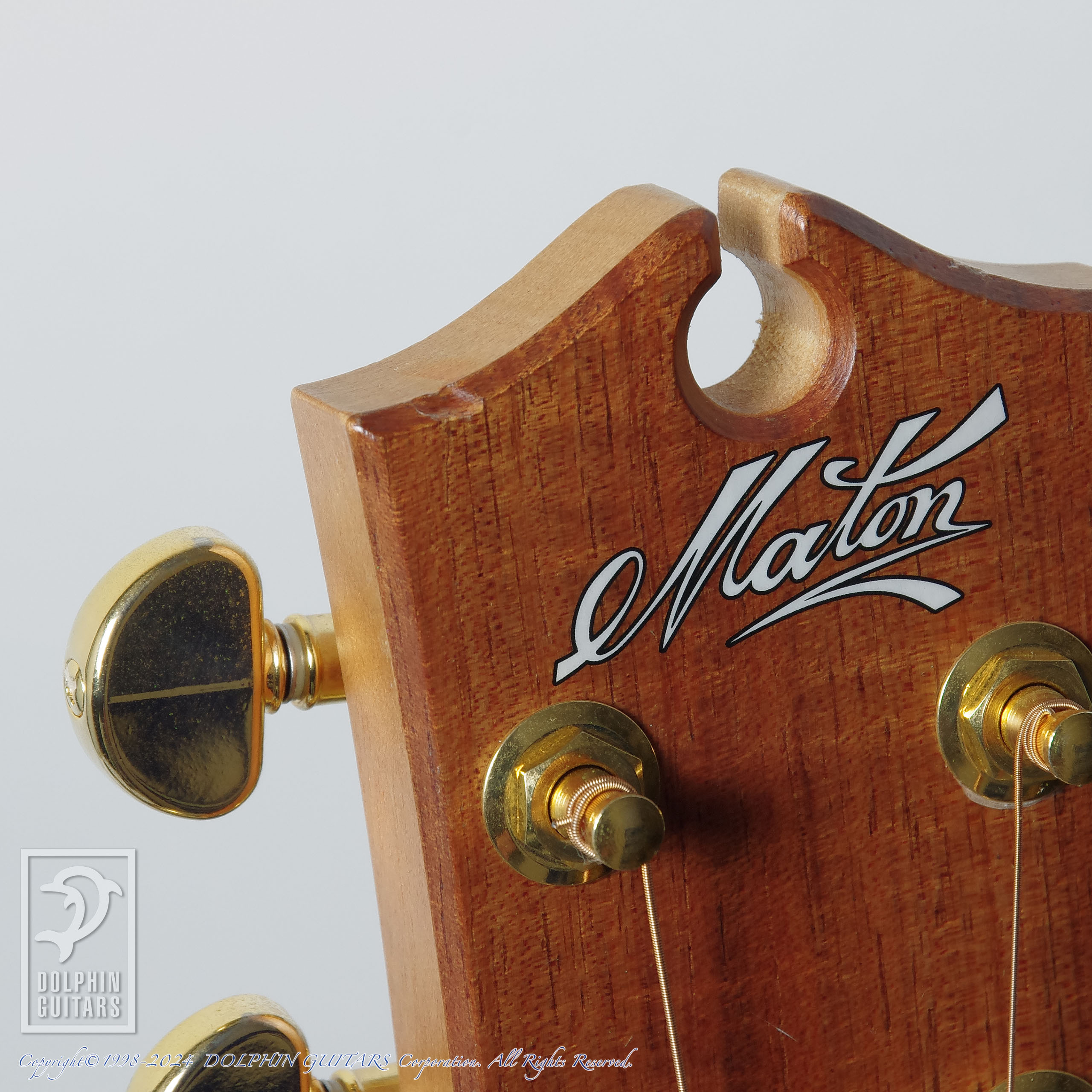 MATON EBG808 Artist - ドルフィンギターズ