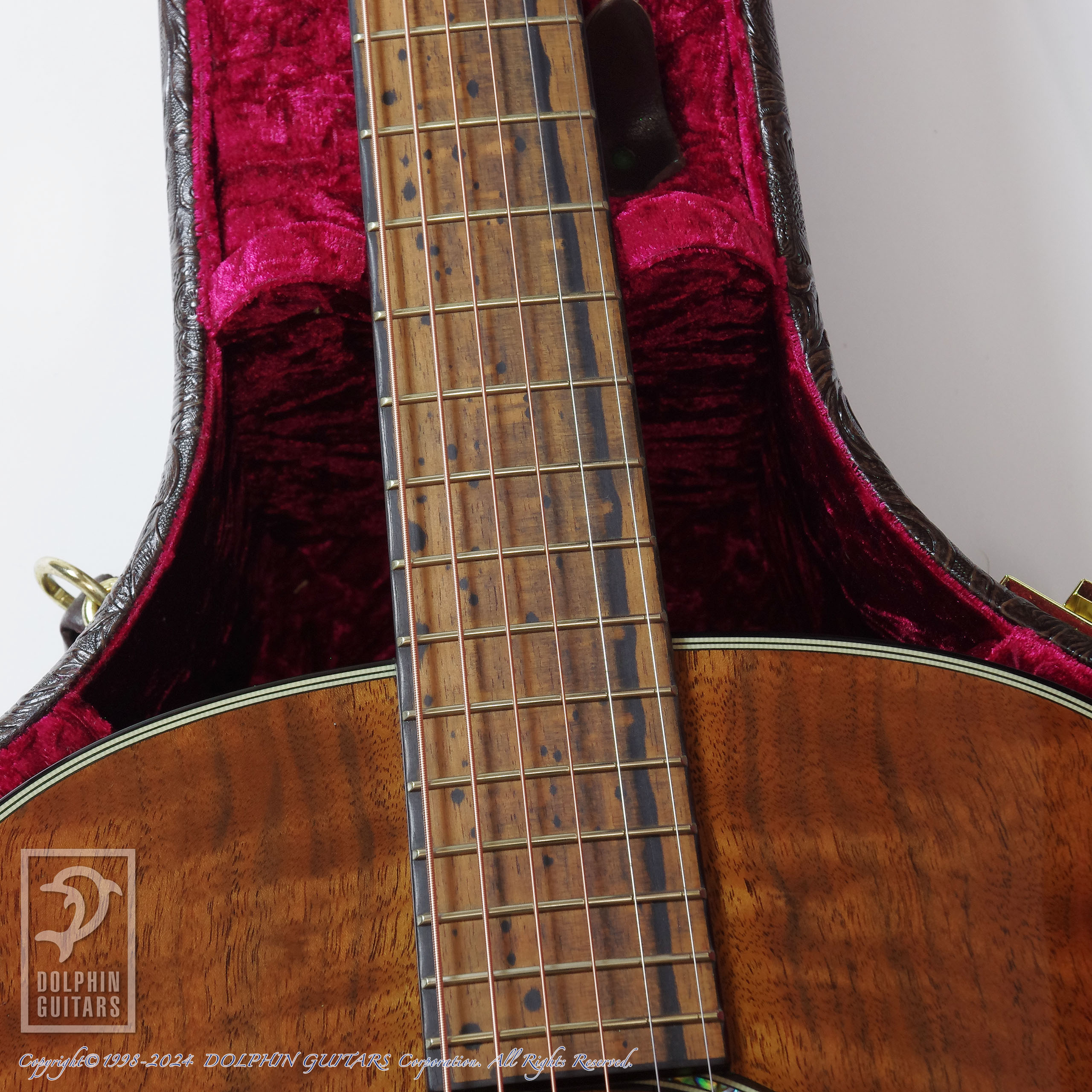 TAYLOR Custom GP Walnut - ドルフィンギターズ