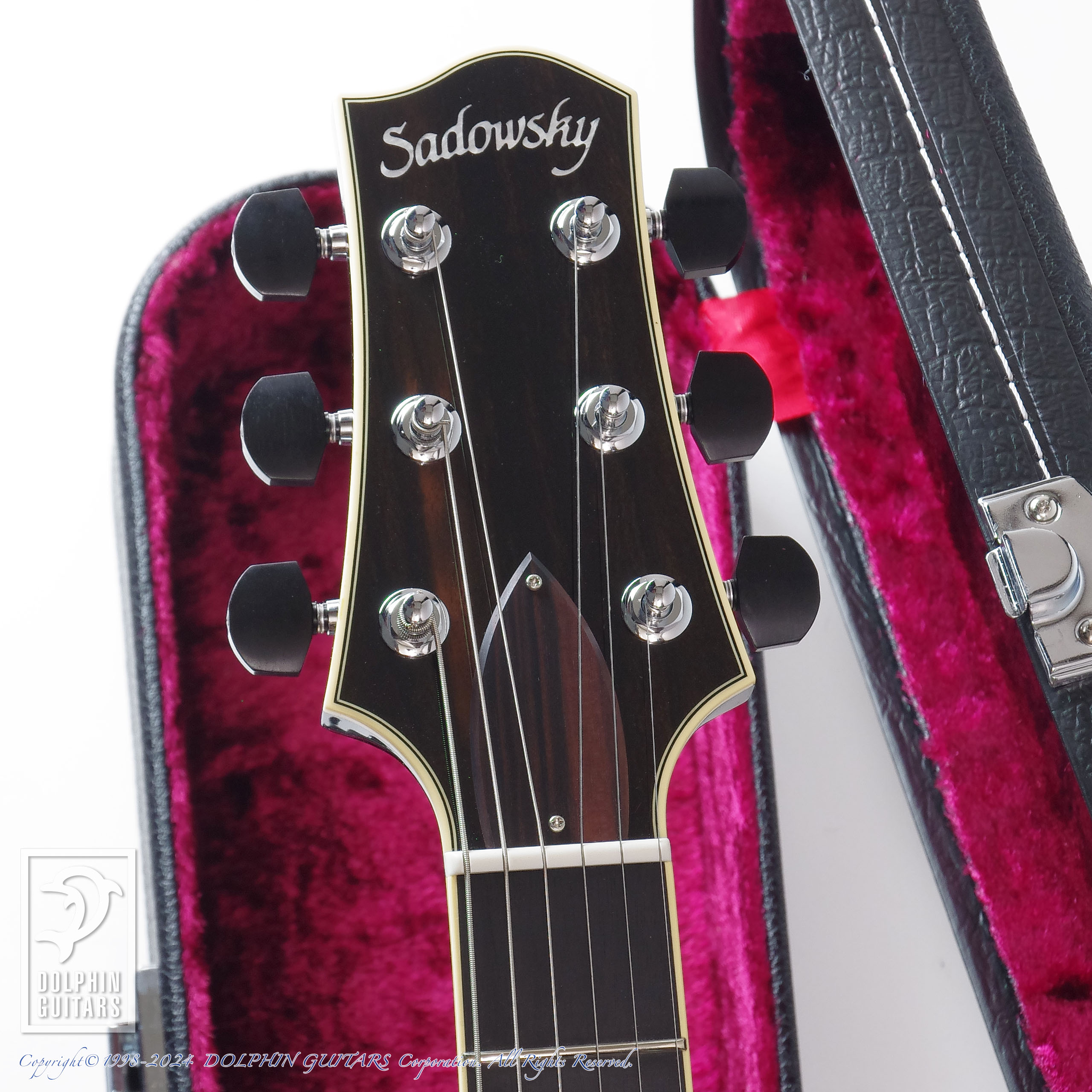 SADOWSKY Semi Hollow (TCB) - ドルフィンギターズ