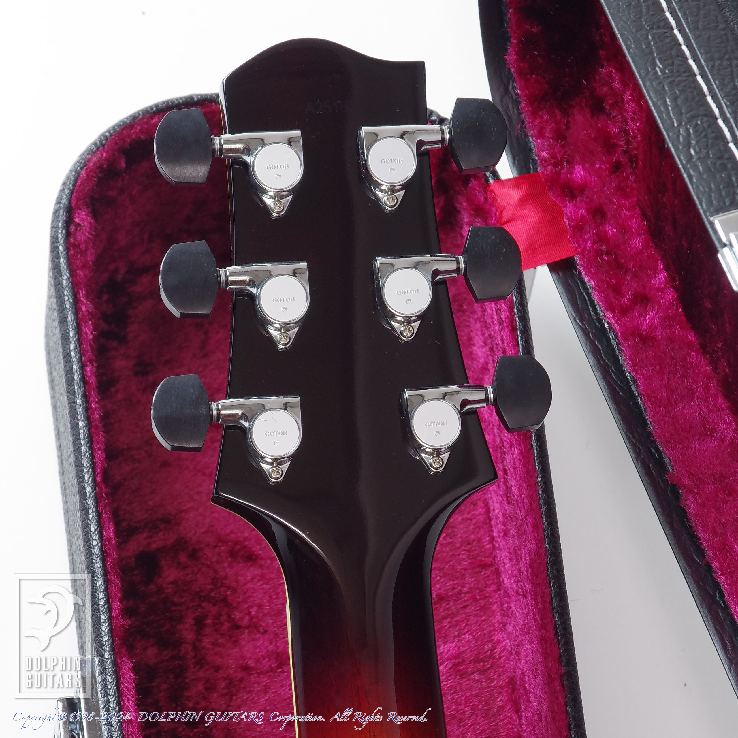 SADOWSKY Semi Hollow (TCB) - ドルフィンギターズ