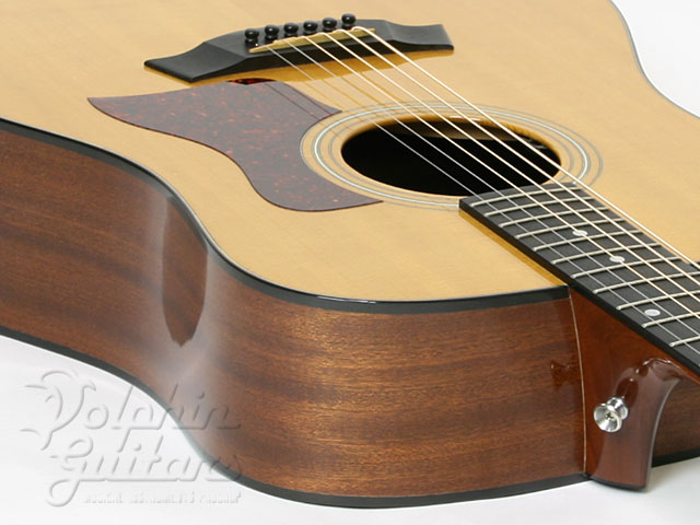 TAYLOR 310 - ドルフィンギターズ