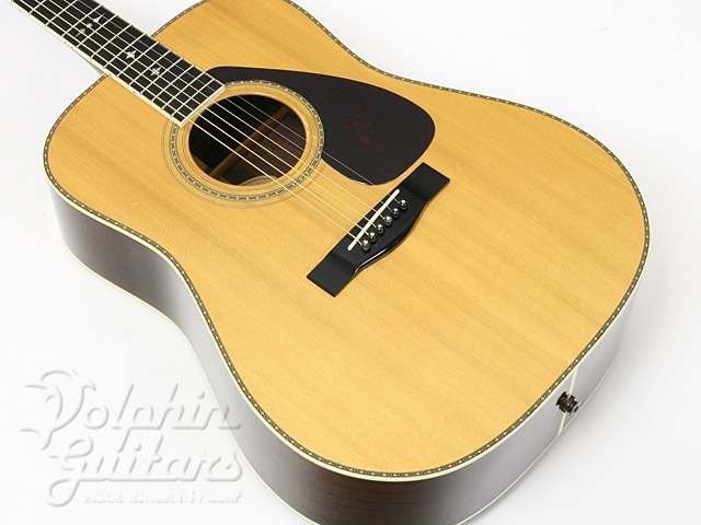 YAMAHA L-10 - ドルフィンギターズ