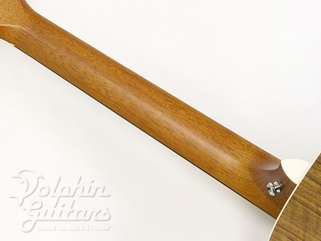 TAYLOR 455 (12strings Guitar) - ドルフィンギターズ