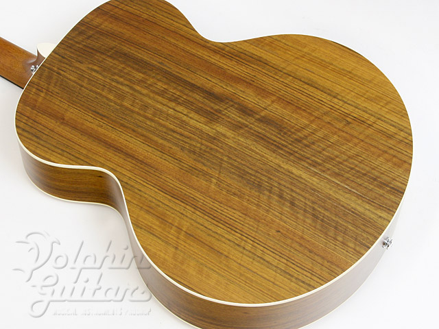 TAYLOR 455 (12strings Guitar) - ドルフィンギターズ