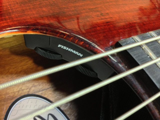 Eastman ER-0E - ドルフィンギターズ