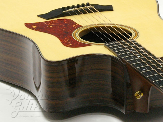 TAYLOR 710CE - ドルフィンギターズ