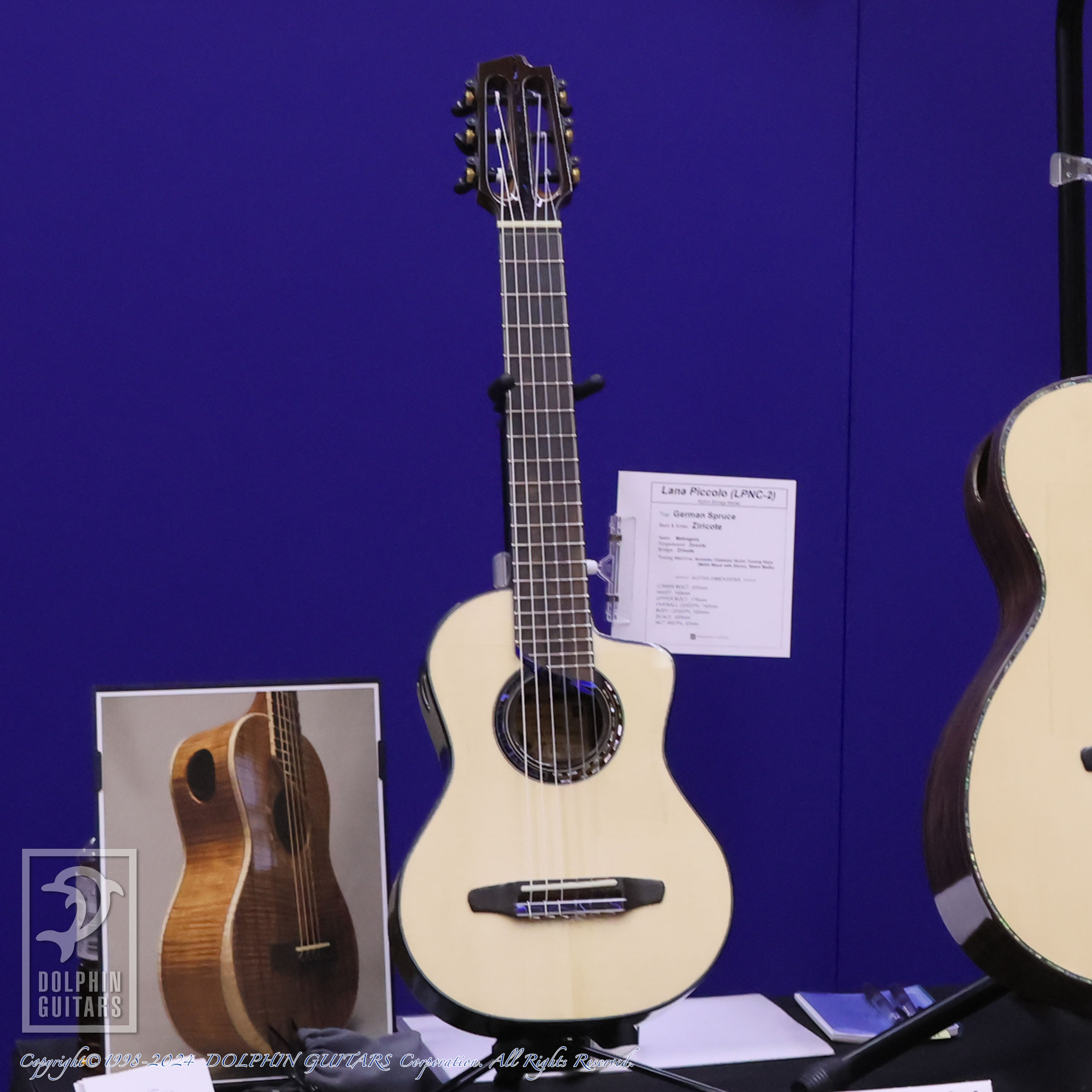 HAYASHI GUITARS Lana Piccolo (Nylon Strings) - ドルフィンギターズ