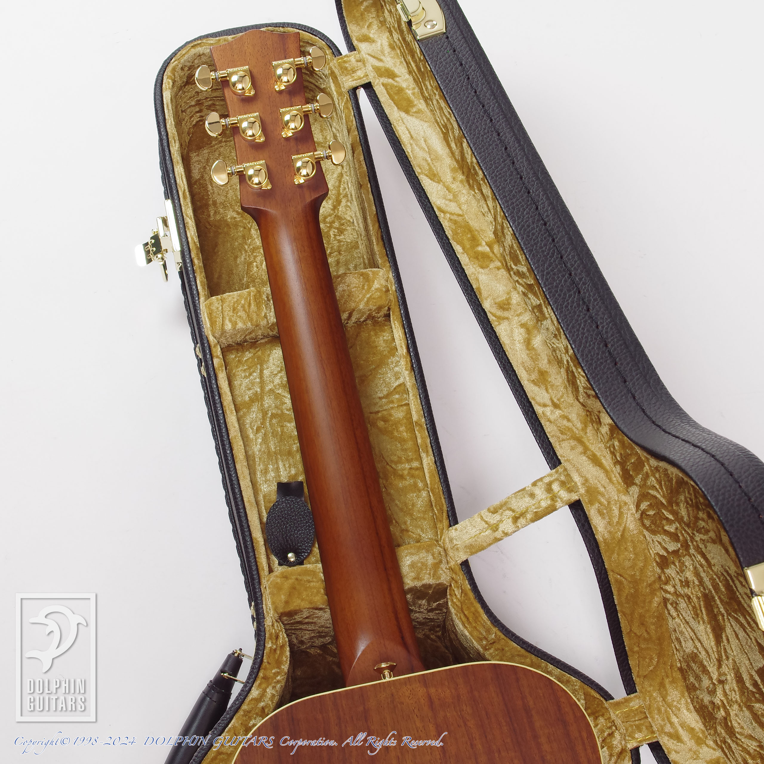MATON EMD6 (Mini Maton Diesel Special) - ドルフィンギターズ