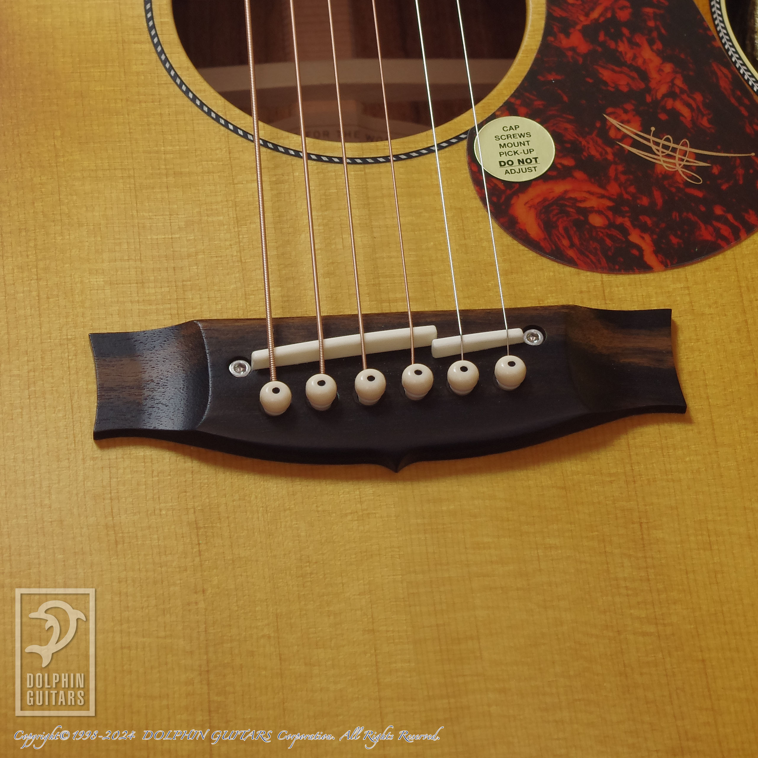 MATON EMD6 (Mini Maton Diesel Special) - ドルフィンギターズ