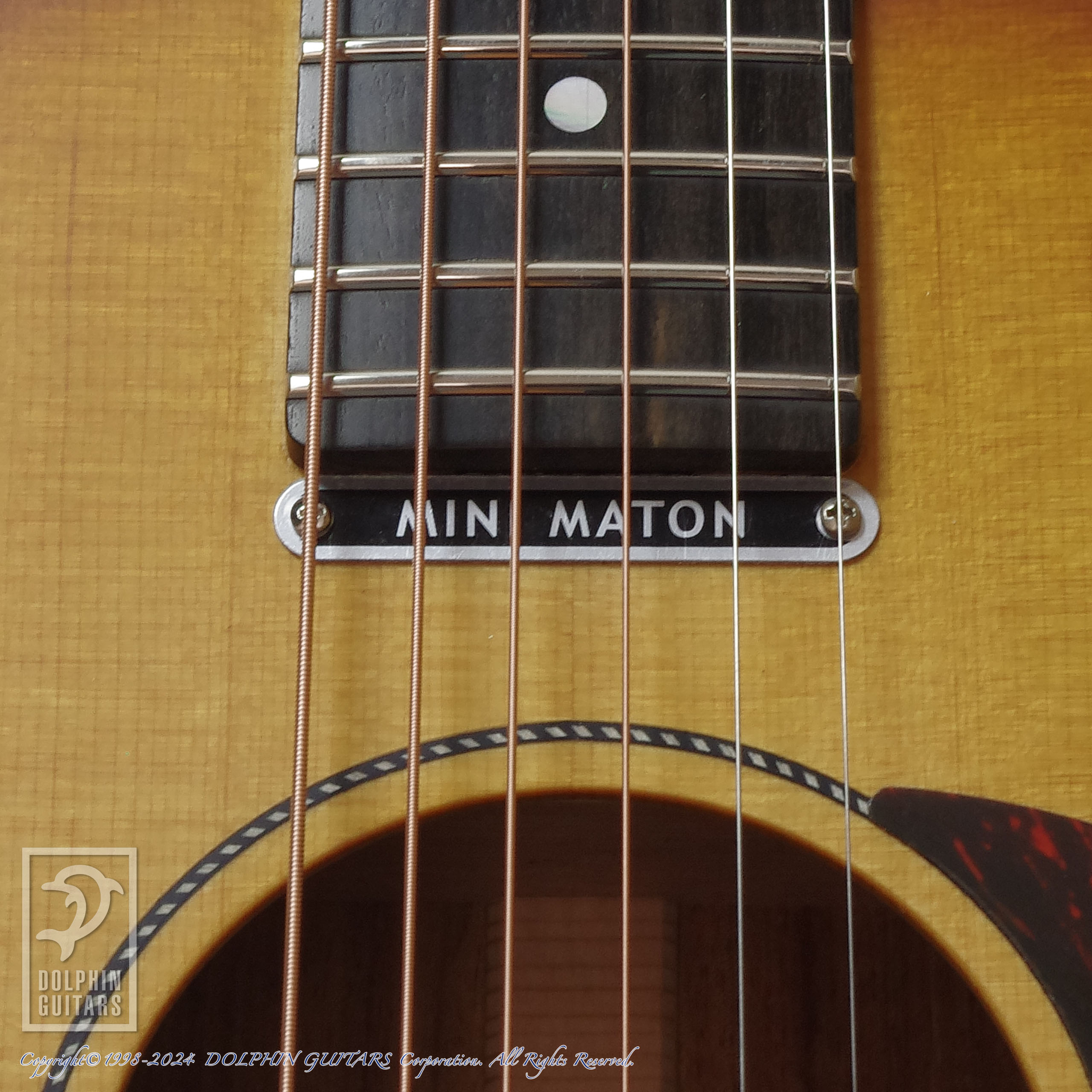 MATON EMD6 (Mini Maton Diesel Special) - ドルフィンギターズ