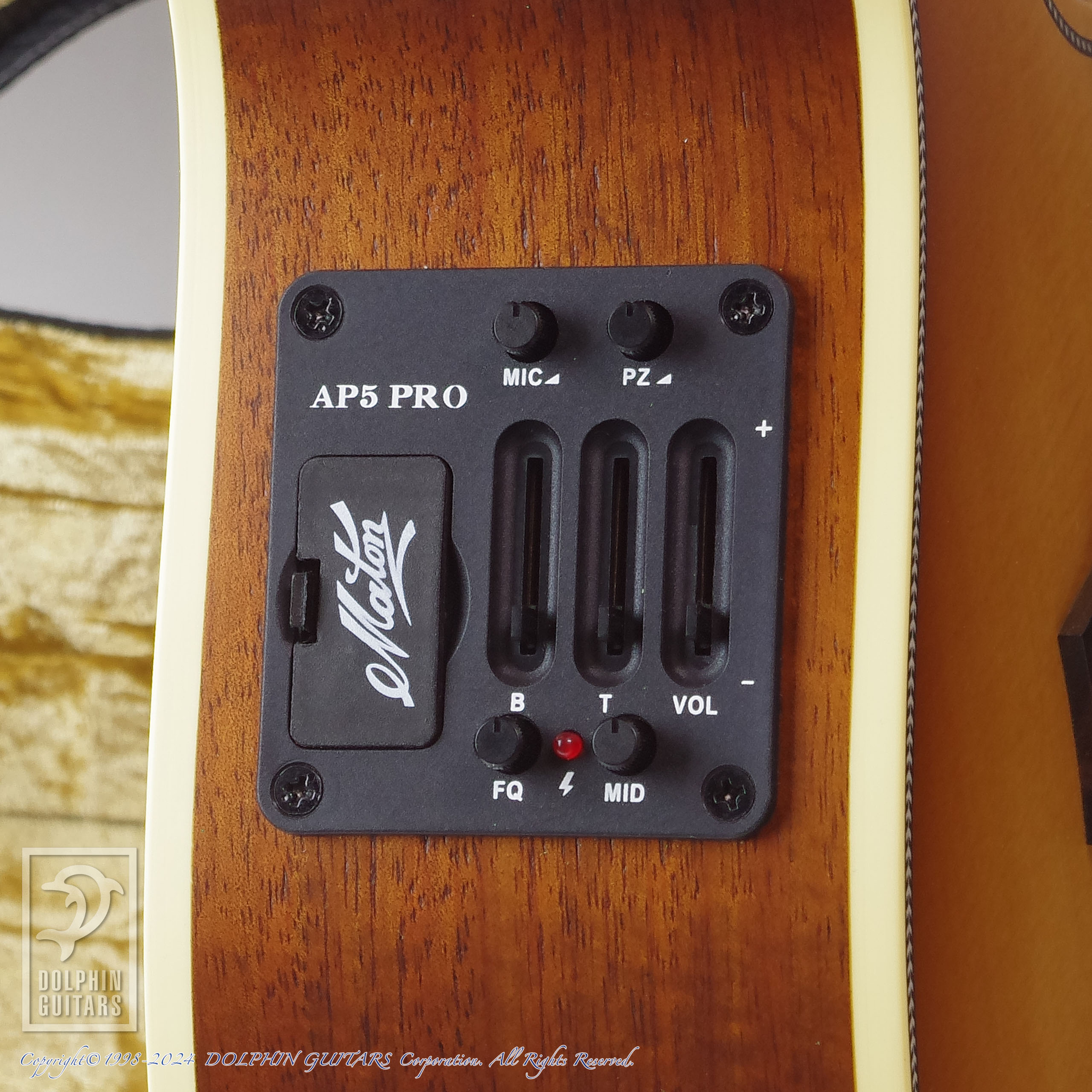 MATON EMD6 (Mini Maton Diesel Special) - ドルフィンギターズ