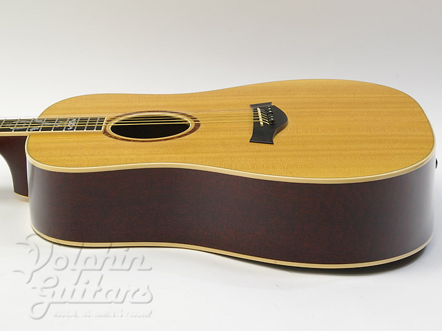 TAYLOR XXV-DR Limited 25th Anniversary - ドルフィンギターズ