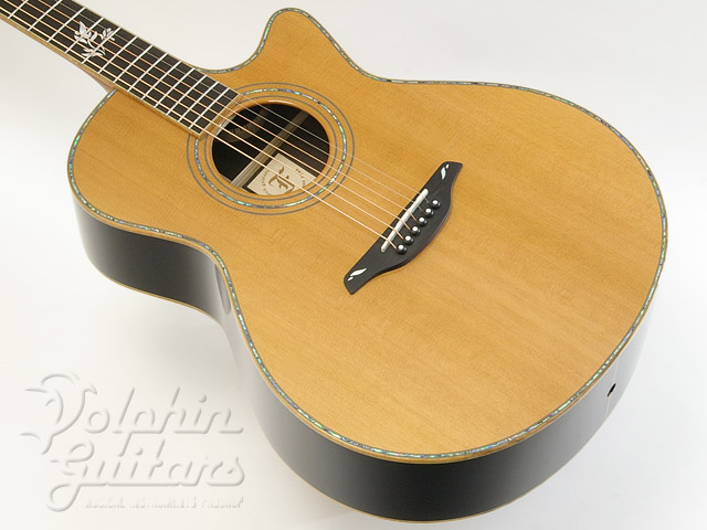 FURCH G25-CBCT （African Blackwood） - ドルフィンギターズ