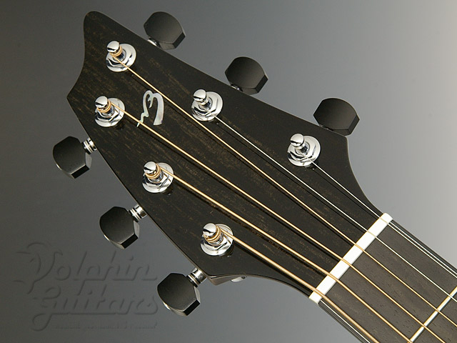 Breedlove Focus SE Walnut - ドルフィンギターズ