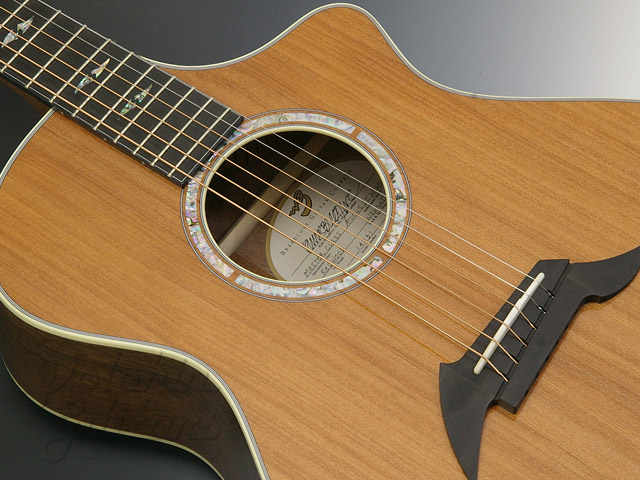 Breedlove Focus SE Walnut - ドルフィンギターズ