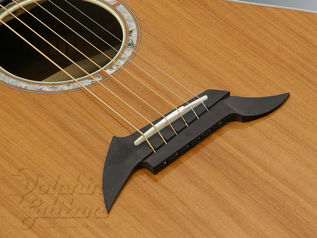 Breedlove Focus SE Walnut - ドルフィンギターズ