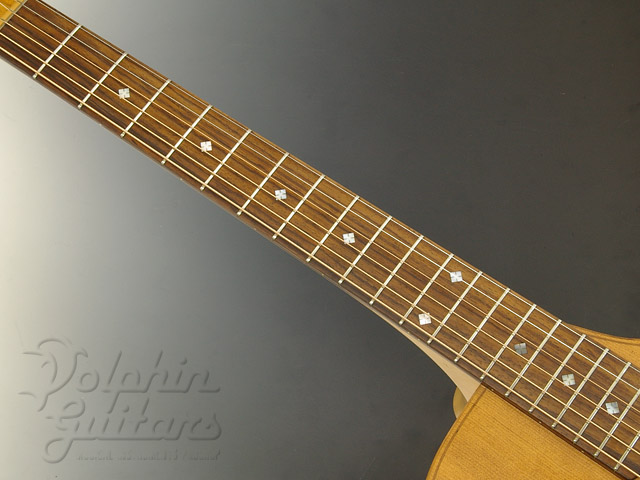 COLE CLARK FL2AC-BM - ドルフィンギターズ