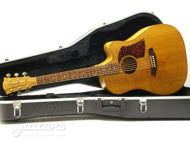 COLE CLARK FL2AC-BM - ドルフィンギターズ