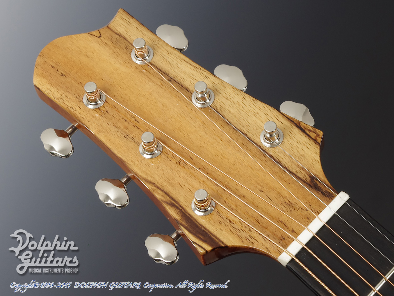 FLY ROBIN Grace - ドルフィンギターズ