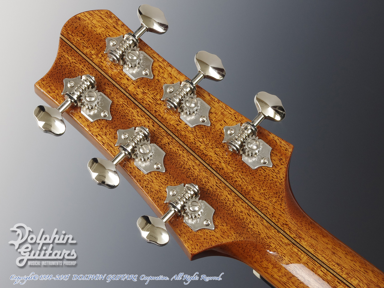 FLY ROBIN Grace - ドルフィンギターズ