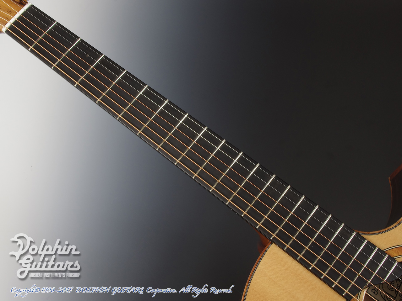 FLY ROBIN Grace - ドルフィンギターズ