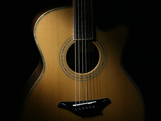 FURCH G25-CGCT (Ceder & Madagascar Rosewood) - ドルフィンギターズ