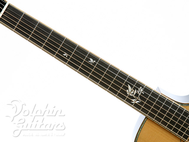 FURCH G25-CGCT - ドルフィンギターズ