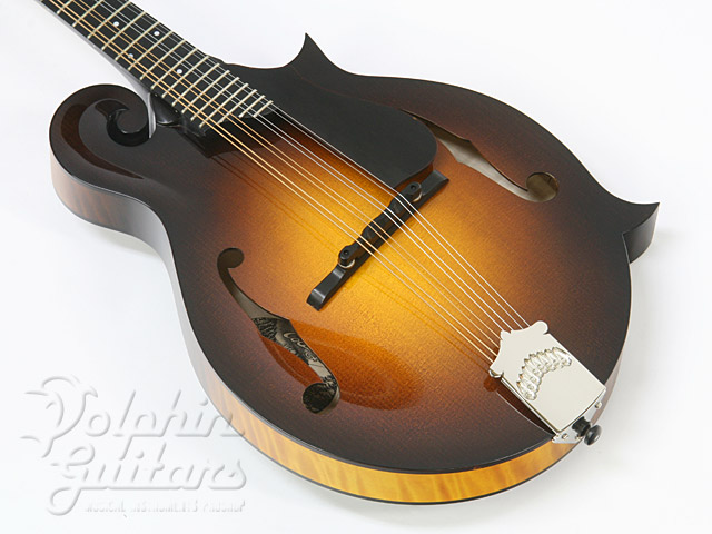 COLLINGS MF Mandolin（Gloss Top） - ドルフィンギターズ