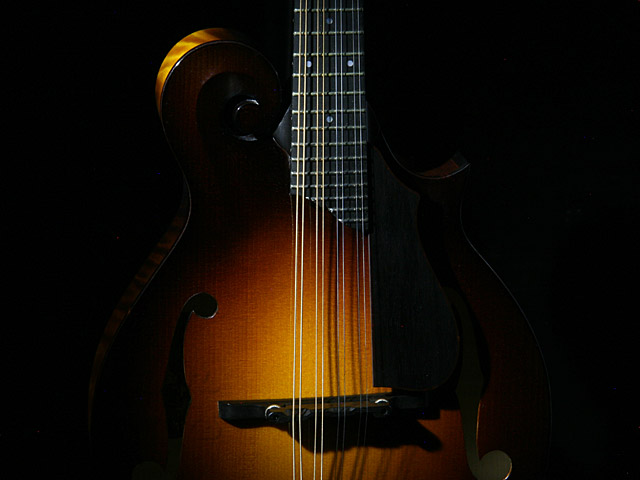 COLLINGS MF Mandolin（Gloss Top） - ドルフィンギターズ