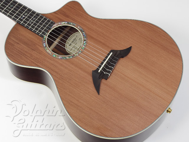 Breedlove Focus Bossa Nova - ドルフィンギターズ