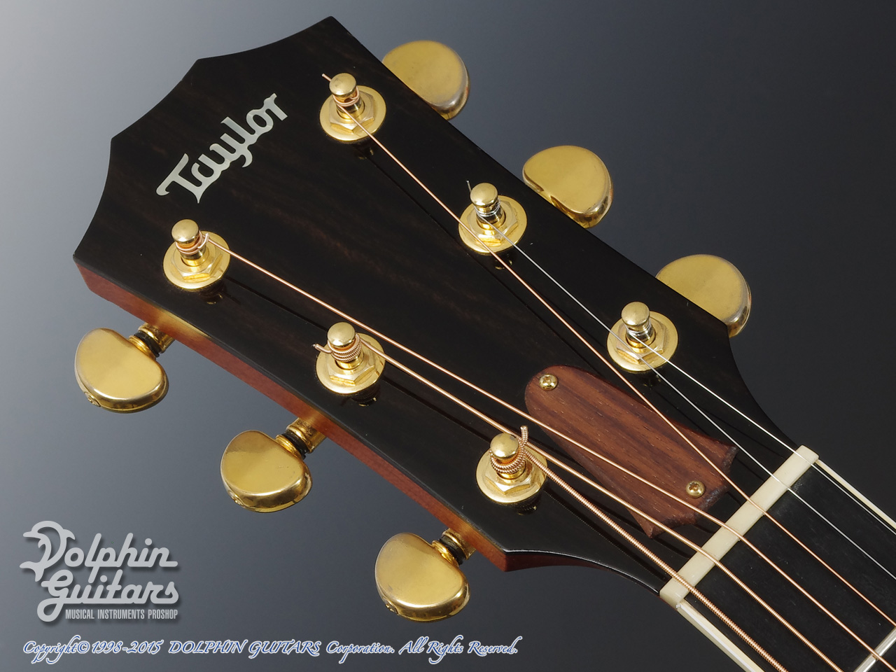 TAYLOR 610 - ドルフィンギターズ