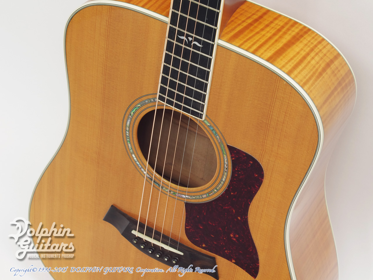 TAYLOR 610 - ドルフィンギターズ