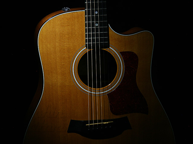 TAYLOR 310CE es - ドルフィンギターズ