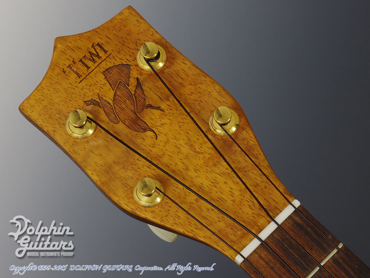 I iwi Concert Ukulele - ドルフィンギターズ