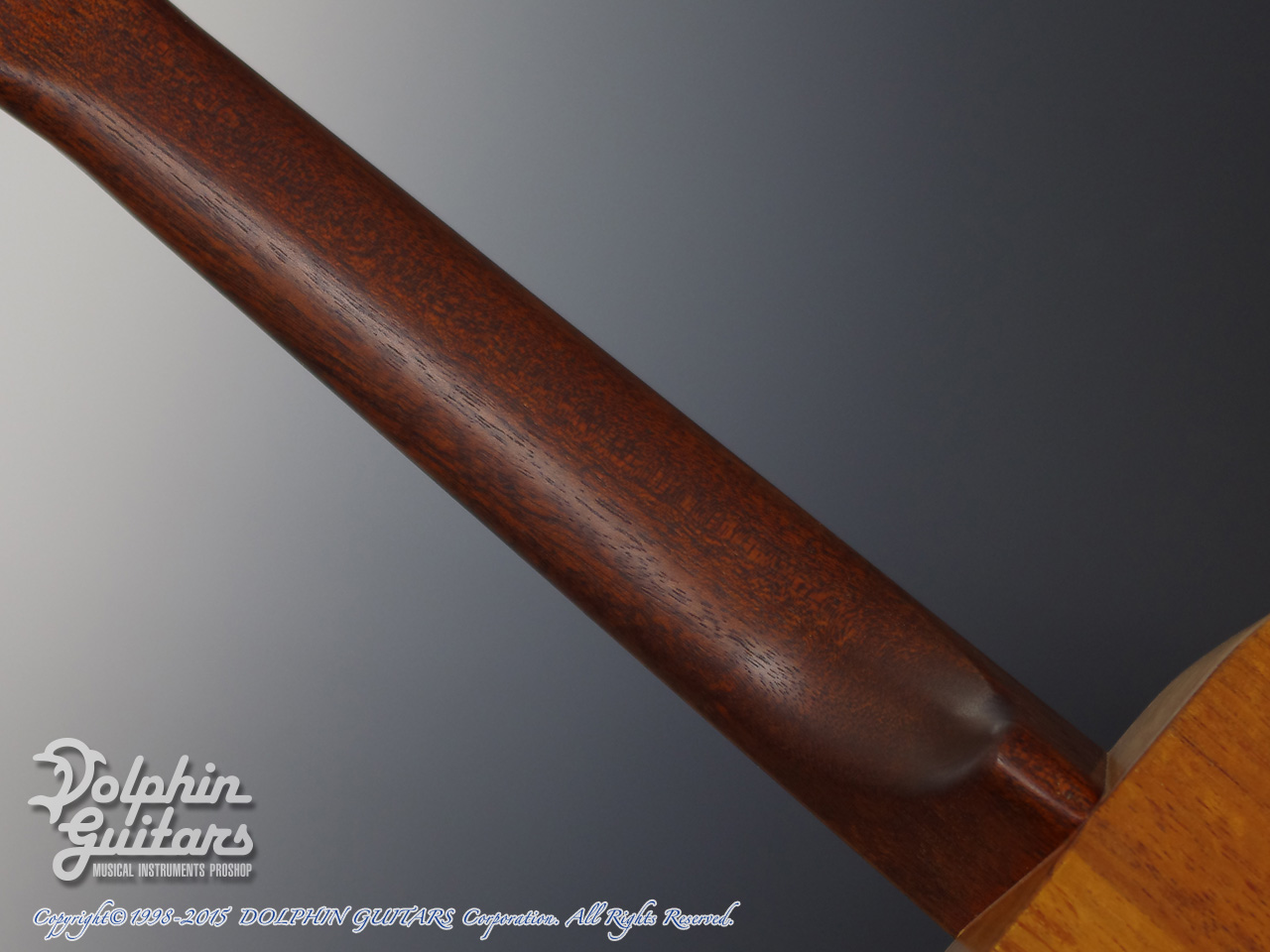 I iwi Concert Ukulele - ドルフィンギターズ