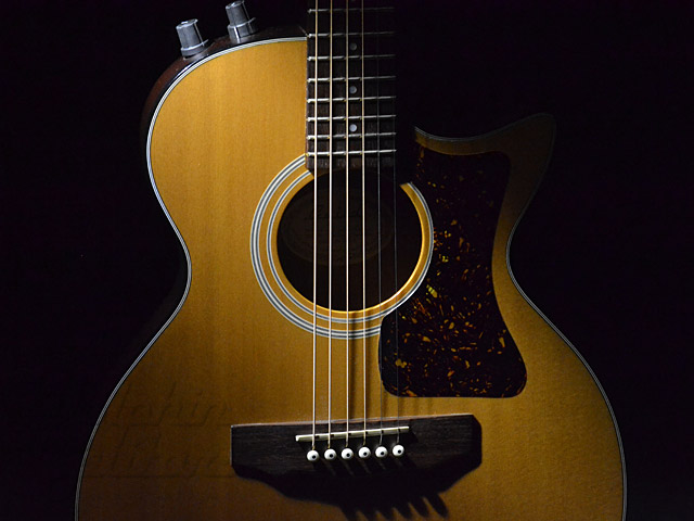 GUILD S4CE Songbird - ドルフィンギターズ