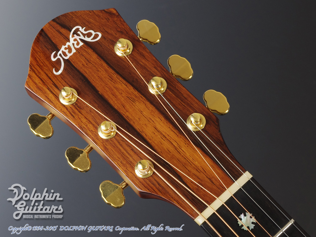 STEVENS CA-AT (German Spruce & Madagascar Rosewood) - ドルフィンギターズ