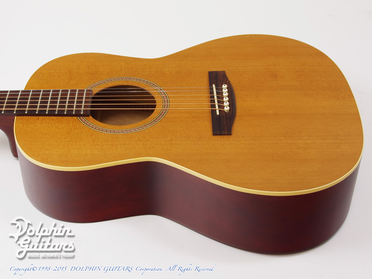 SEAGULL CANADA S6 Folk - ドルフィンギターズ