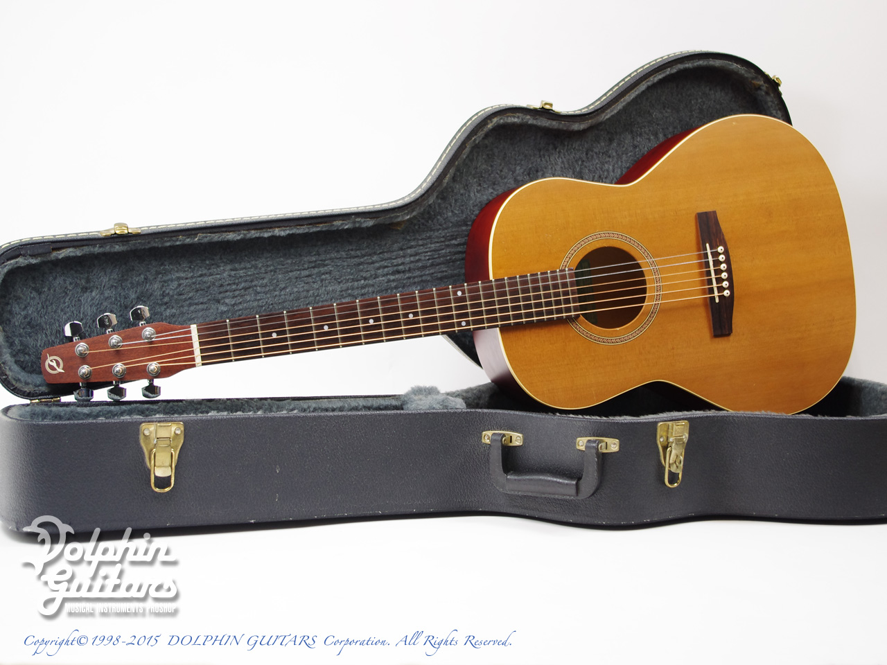 SEAGULL CANADA S6 Folk - ドルフィンギターズ