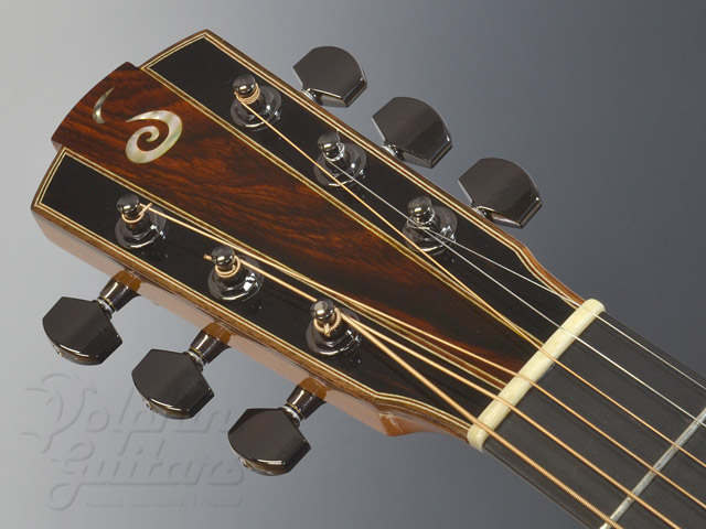 JACK SPIRA GUITARS JS-2C Sea Dragon - ドルフィンギターズ