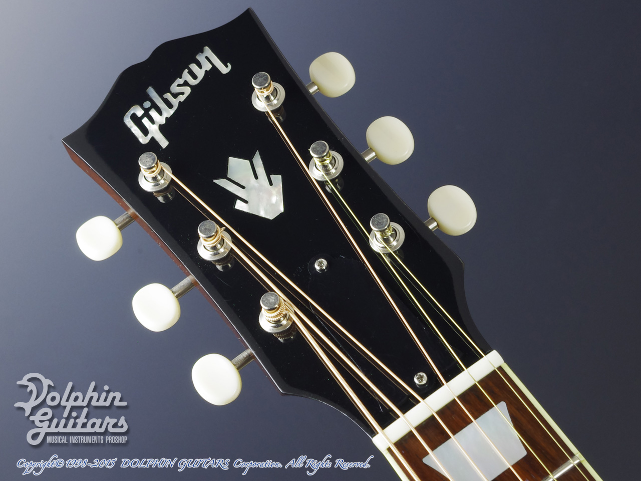 Gibson CF-100E REISSUE - ドルフィンギターズ