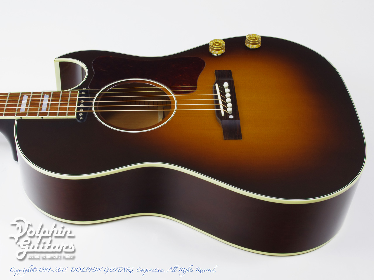 Gibson CF-100E REISSUE - ドルフィンギターズ