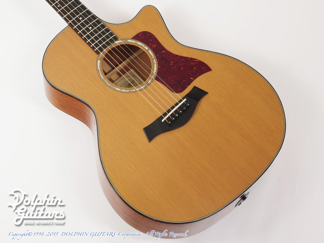 TAYLOR 514ce - ドルフィンギターズ