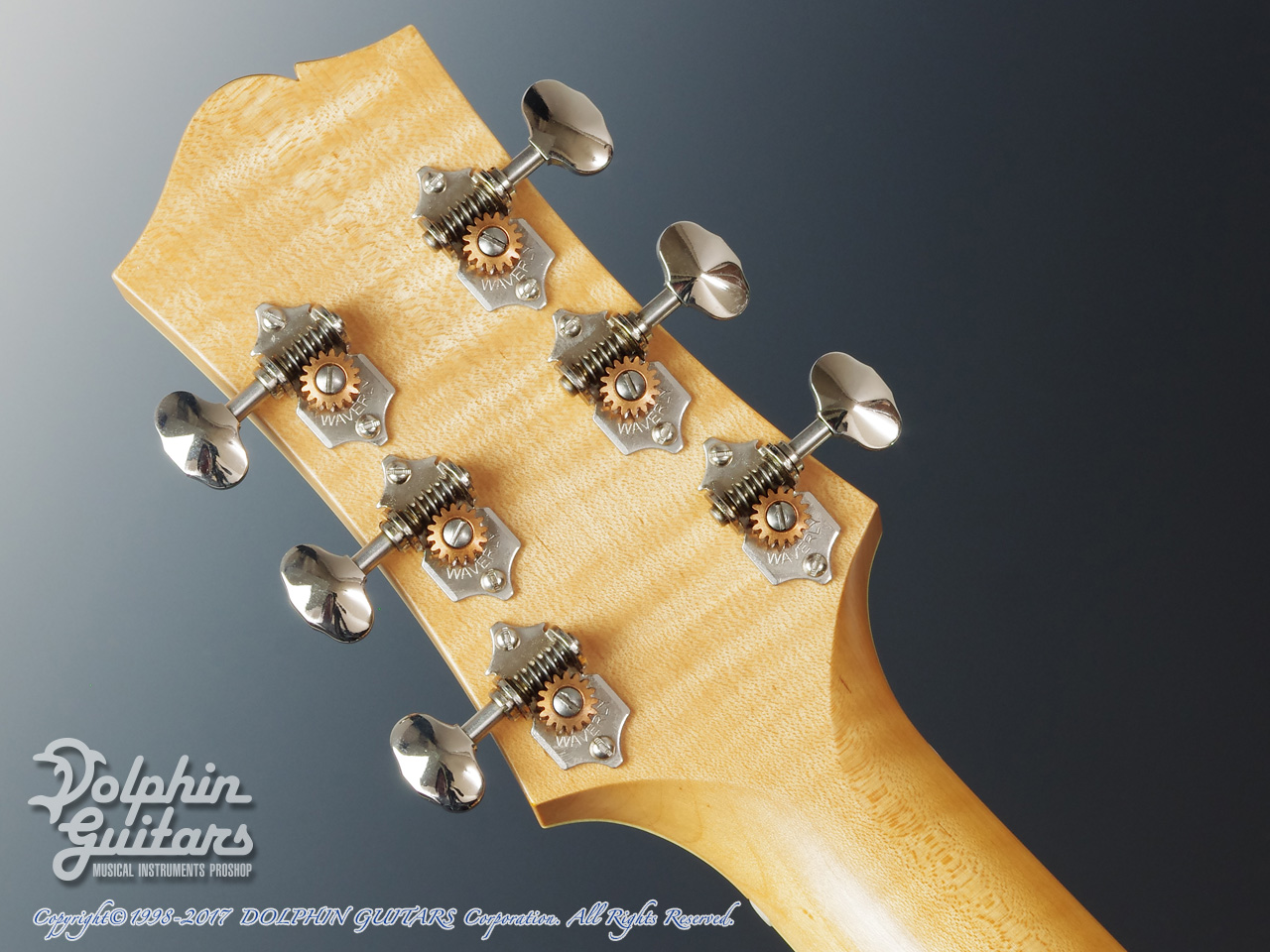 COLLINGS SJ A Cutaway (Adirondack & Flamed Maple) - ドルフィンギターズ