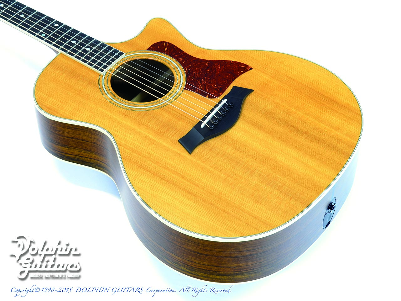 TAYLOR 414CE - ドルフィンギターズ